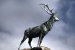 Skyfall Stag Statue
