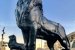 Black Lion Statue Outdoor