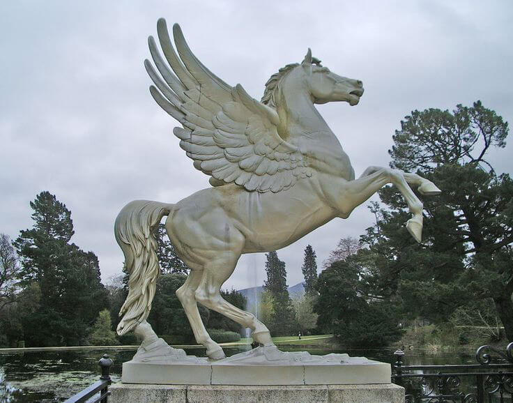 The Difference Between Pegasus and Unicorn
