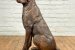 Chocolate Lab Statue - Arturban Statue