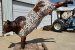 Bucking Bull Statue - Arturban Statue